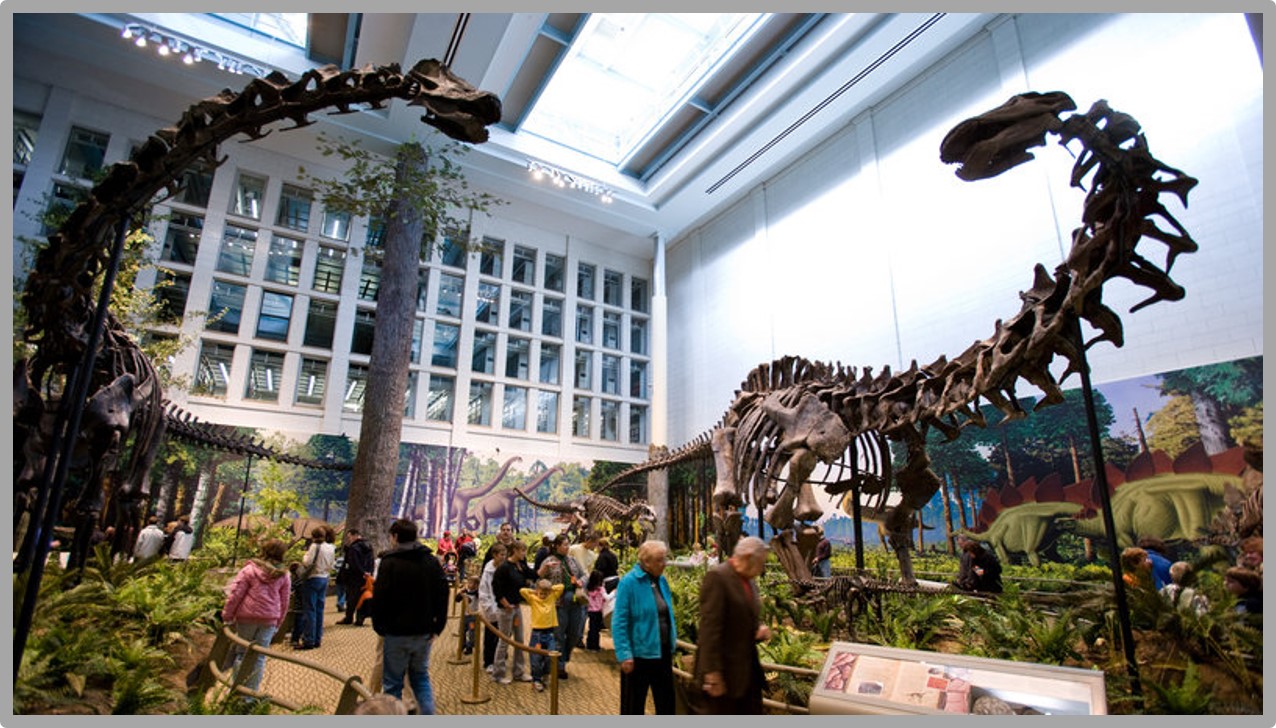 BRONTOSAURUS HAD THE WRONG HEAD- NEVER EXISTED – Evolution is a Myth