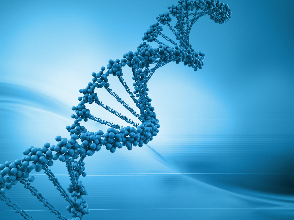 Dating Methods – Evolution is a Myth
