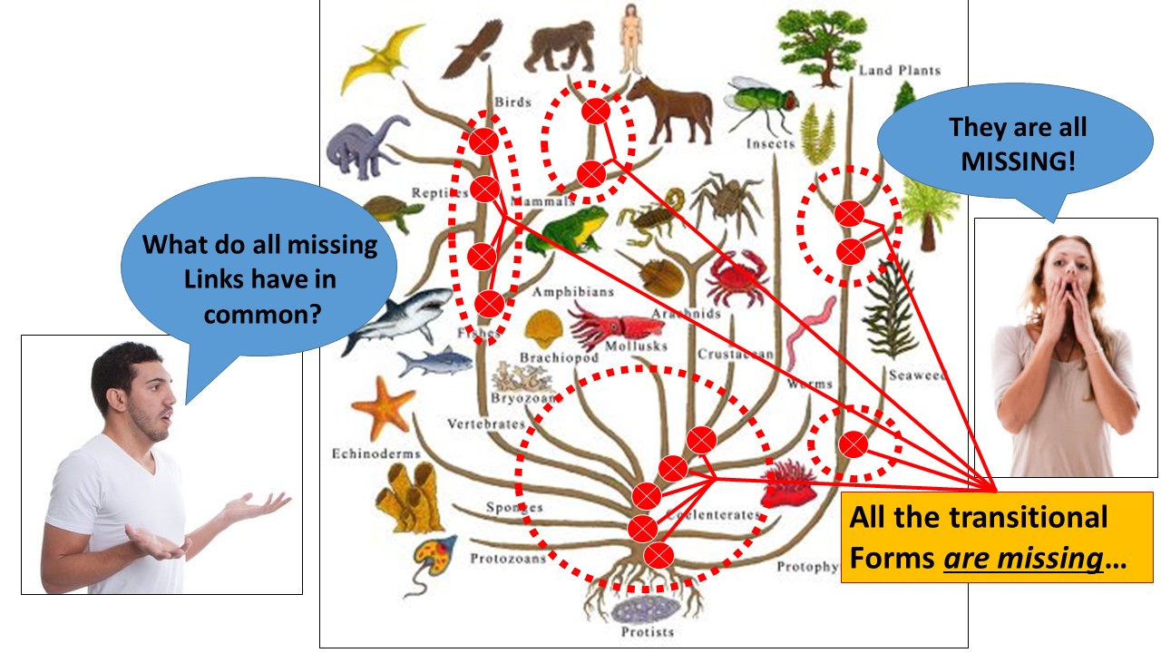COMMON ANCESTOR “TREE” MISSING ALL TRANSITIONARY ‘LINKS’ – Evolution is ...
