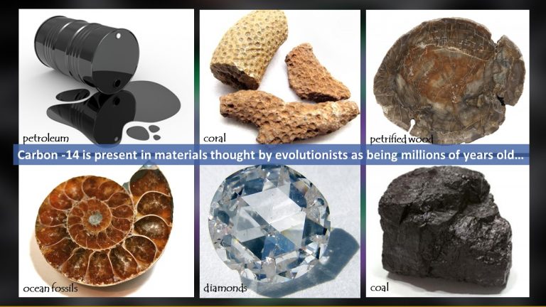 CARBON 14 DATING INACCURATE ON SHELLS – Evolution is a Myth