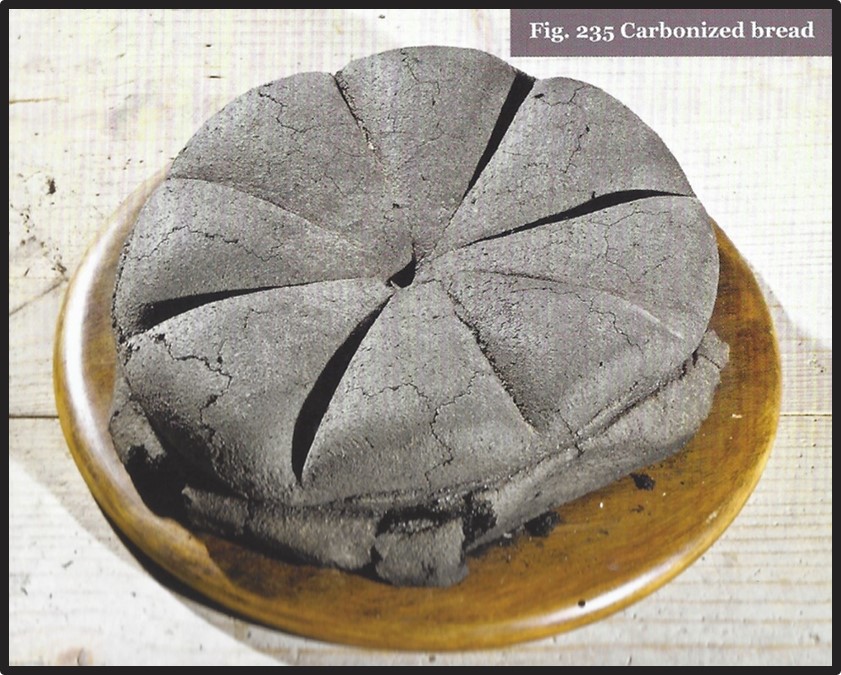 RAPID CARBONIZATION – Evolution is a Myth