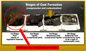 COAL FORMED RAPIDLY IN A LAB INSIDE OF ONE YEAR – Evolution is a Myth