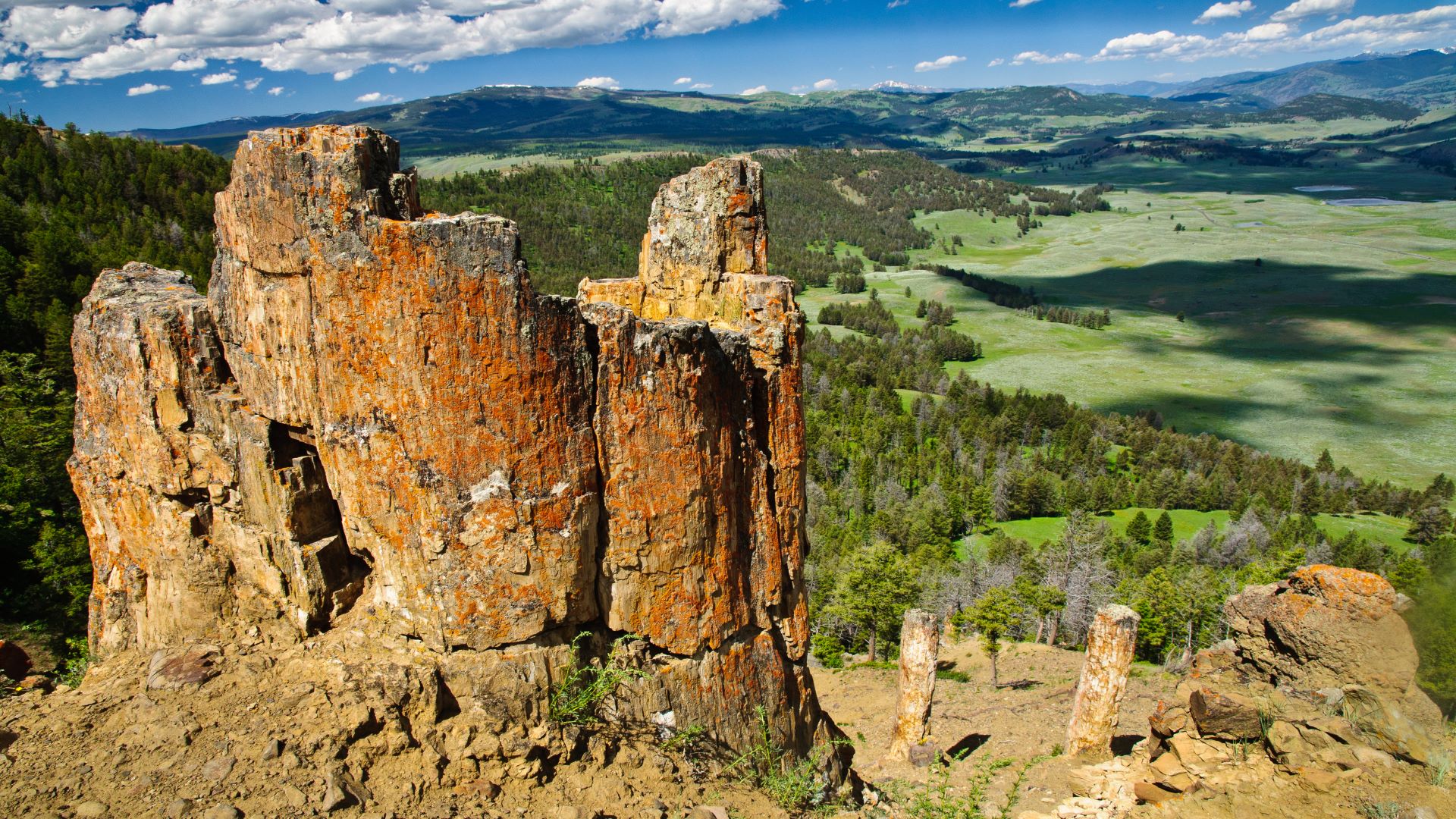 PETRIFIED FOREST STUMPS ARE EVIDENCE OF A CATASTROPHIC EVENT ...