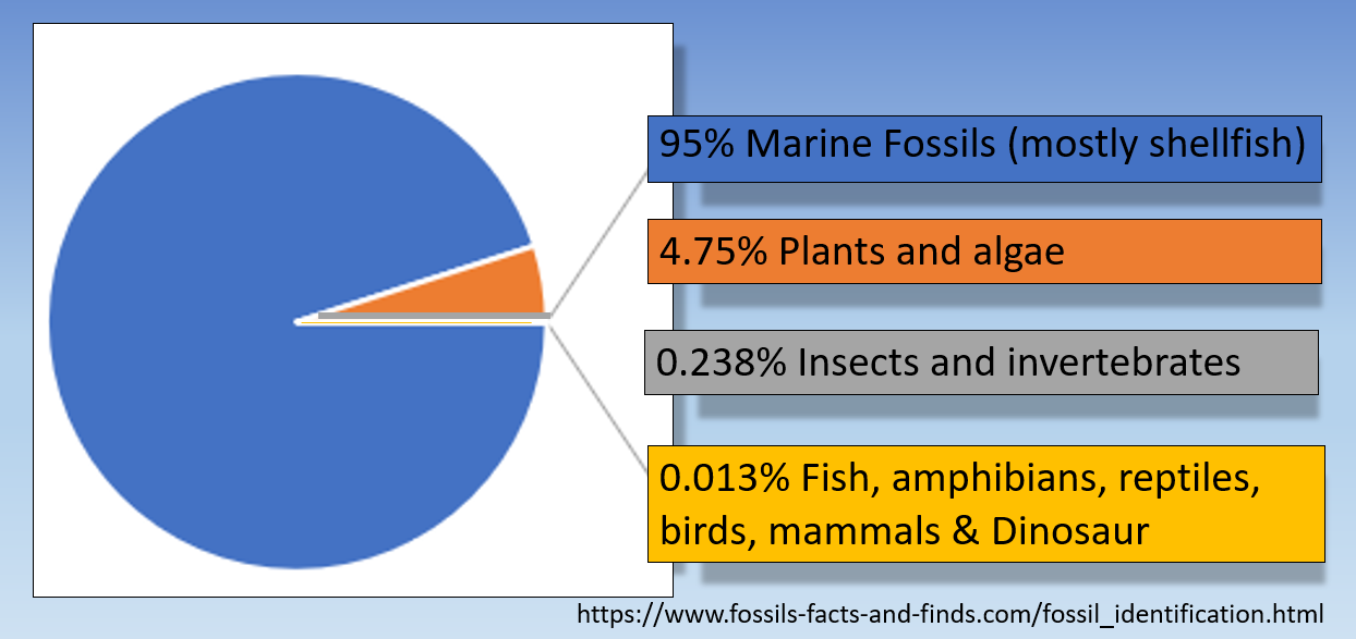 95% OF ALL FOSSILS ARE MARINE – Evolution is a Myth
