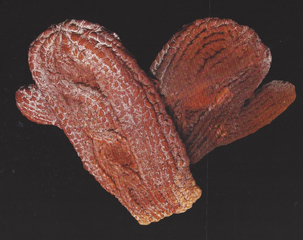 FOSSILIZED MITTENS! – Evolution is a Myth