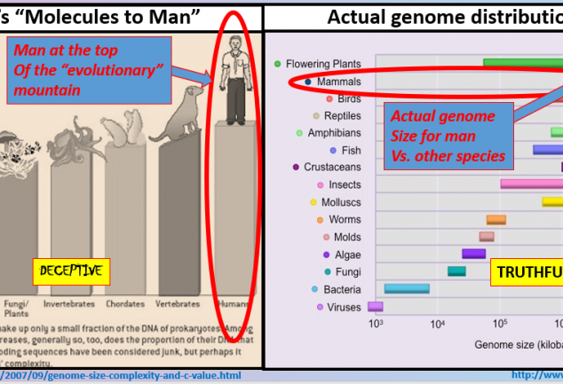 Home – Evolution is a Myth