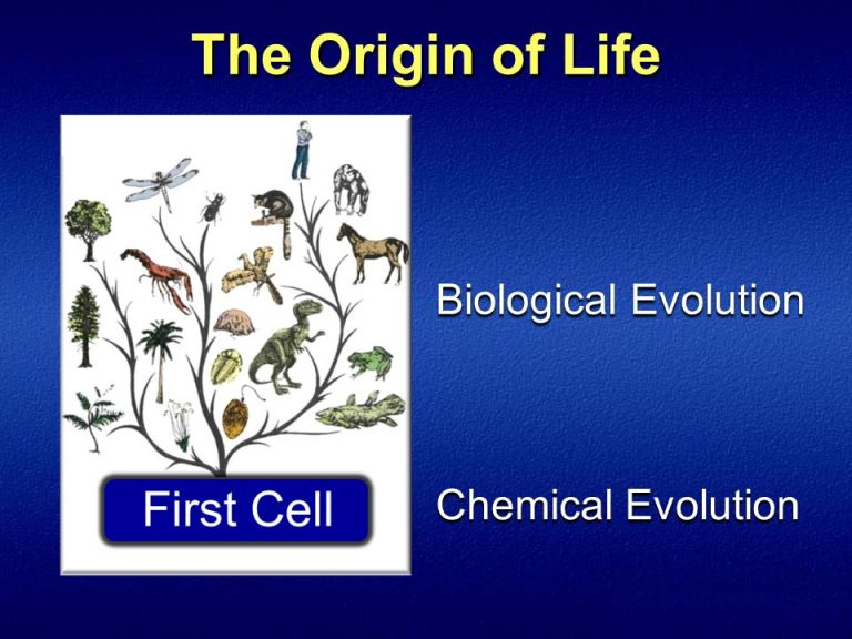 Biological – Evolution is a Myth