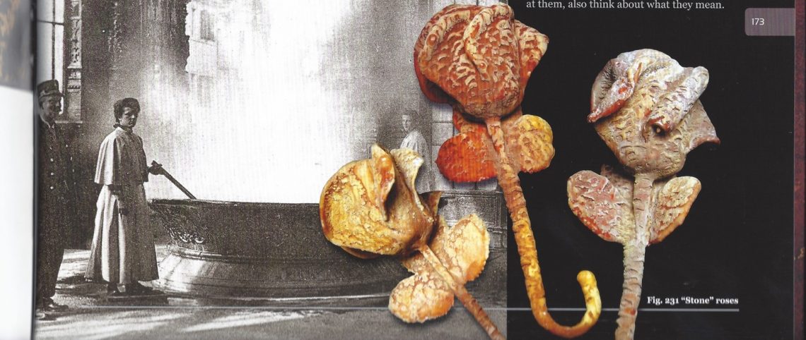 FOSSILIZED ROSES! – Evolution is a Myth