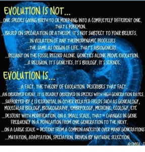 EVOLUTIONISTS ARGUE ABIOGENESIS IS A SEPARATE ISSUE FROM EVOLUTION ...