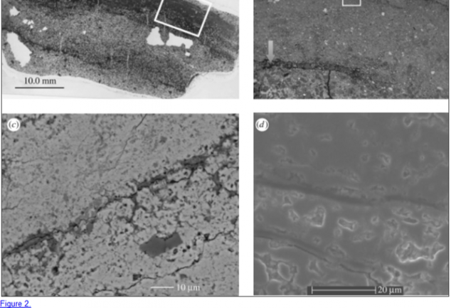 Dinosaur Soft Tissue – Evolution is a Myth