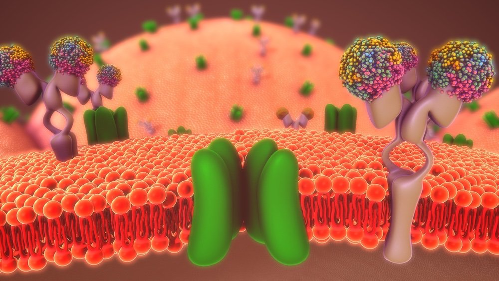 CELLULAR MEMBRANE STRUCTURE HALLMARK OF INTELLIGENT DESIGN – Evolution ...