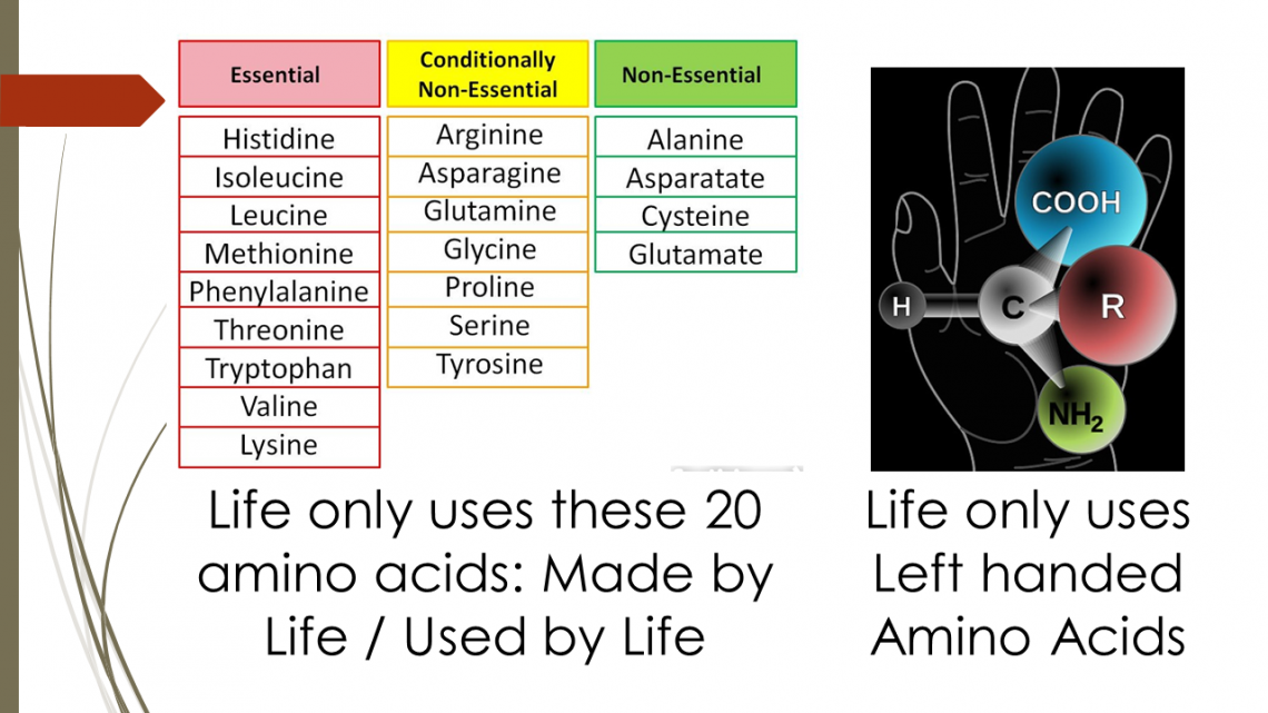 MILLER-UREY SYNTHESIZED AMINO ACIDS OF THE WRONG CHIRALITY – Evolution ...
