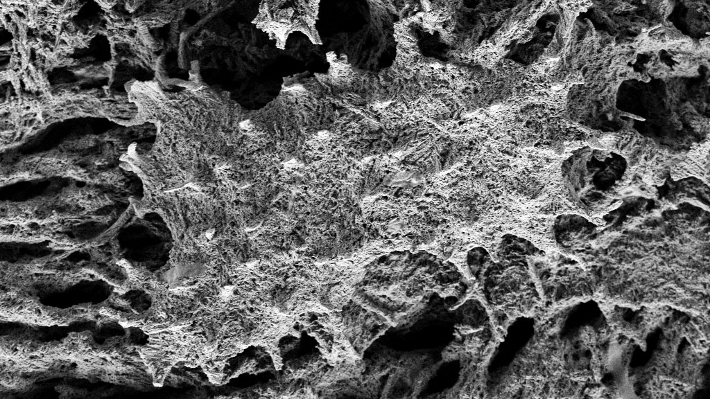 Dinosaur Soft Tissue – Evolution is a Myth