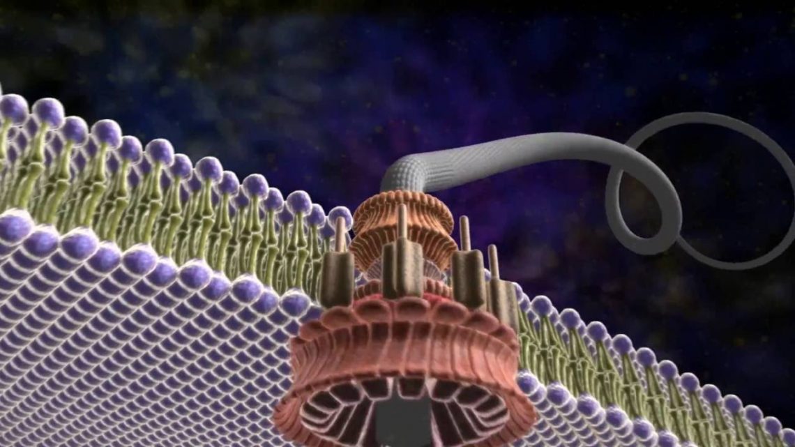 IRREDUCIBLE COMPEXITY IN LIVING ORGANISMS CHALLENGE EVOLUTION ...