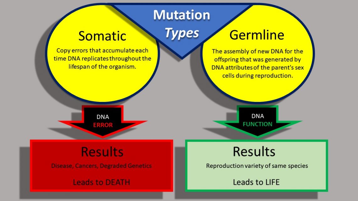 Mutation Meaning