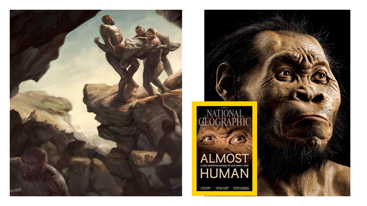 HOMO NALEDI BONES NOT RITUALLY BURIED – Evolution is a Myth