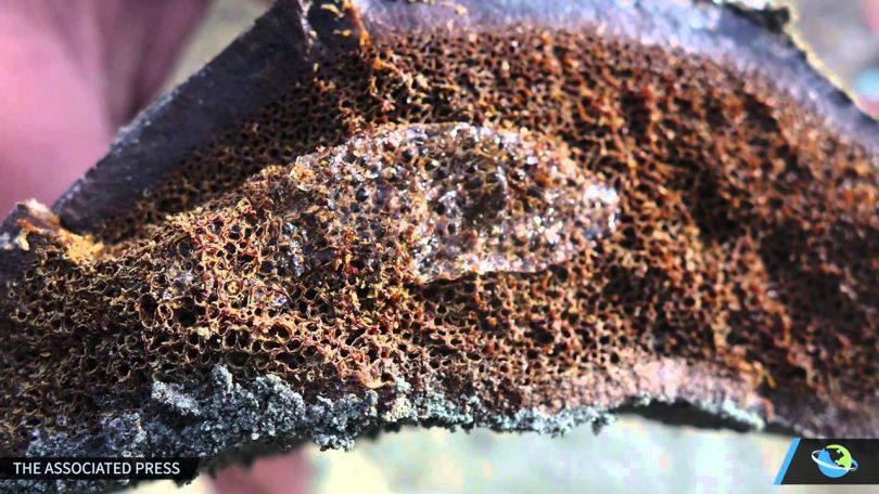 CARBON 14 DATING INACCURATE ON SHELLS – Evolution is a Myth