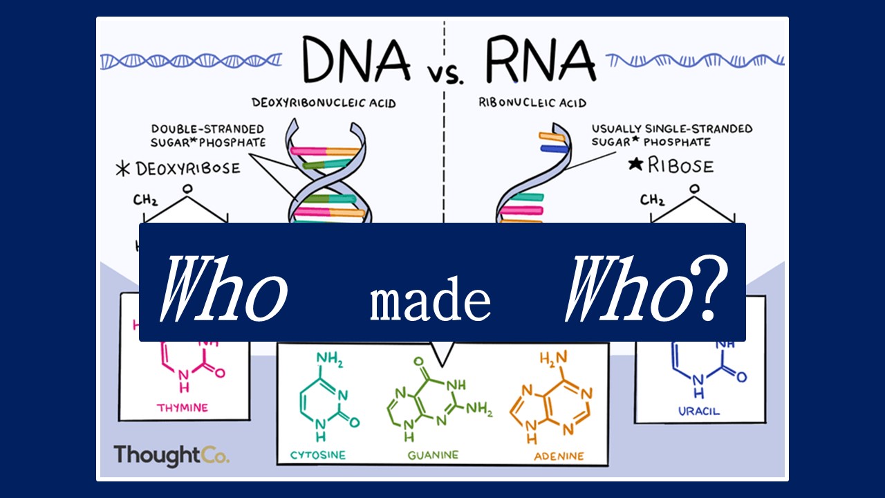 RNA WORLD HYPOTHESIS IS “CHEMICALLY INCOMPATIBLE” – Evolution is a Myth