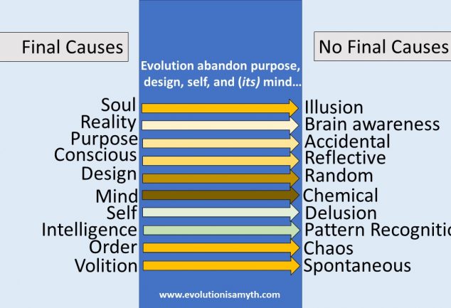 Home – Evolution is a Myth