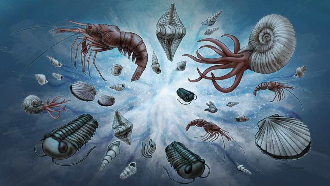 DARWIN’S MISSING FOSSIL EVIDENCE – Evolution is a Myth