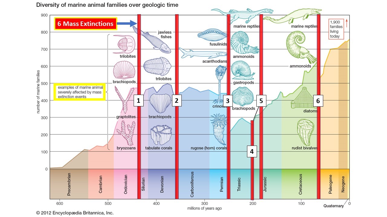 DARWIN’S MISSING FOSSIL EVIDENCE – Evolution is a Myth