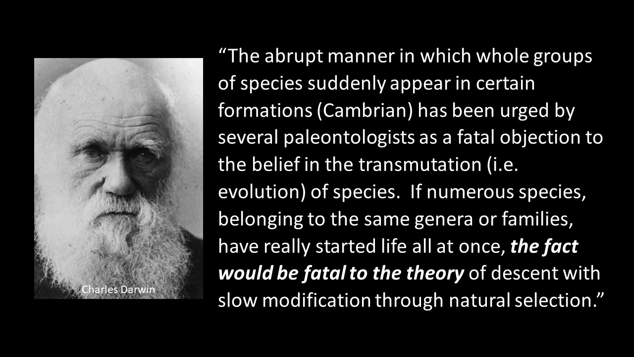 FOSSIL RECORD FAILS TO DEFEND EVOLUTION – Evolution is a Myth