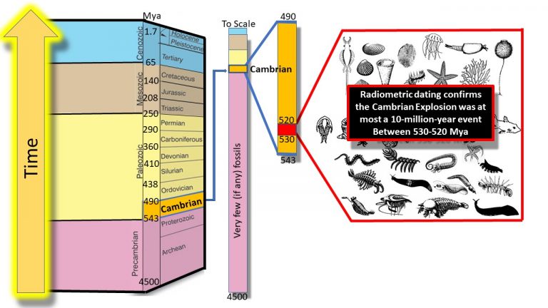 CAMBRIAN EXPLOSION IN ONLY 5 MILLION YEARS? – Evolution is a Myth