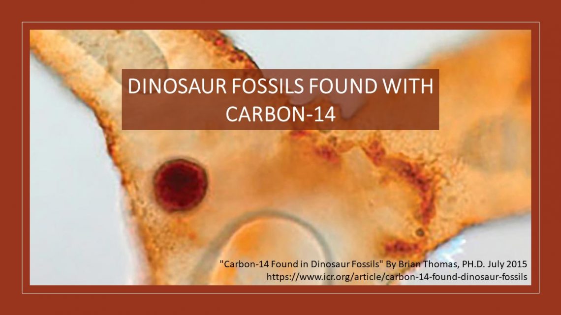 RADIOMETRIC DATING: FLAWS OF PRESUMPTION – Evolution is a Myth