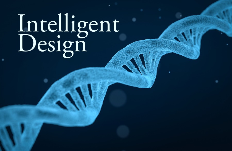BIOLOGY TERMINOLOGY REVEALS DESIGN IN LIFE – Evolution is a Myth