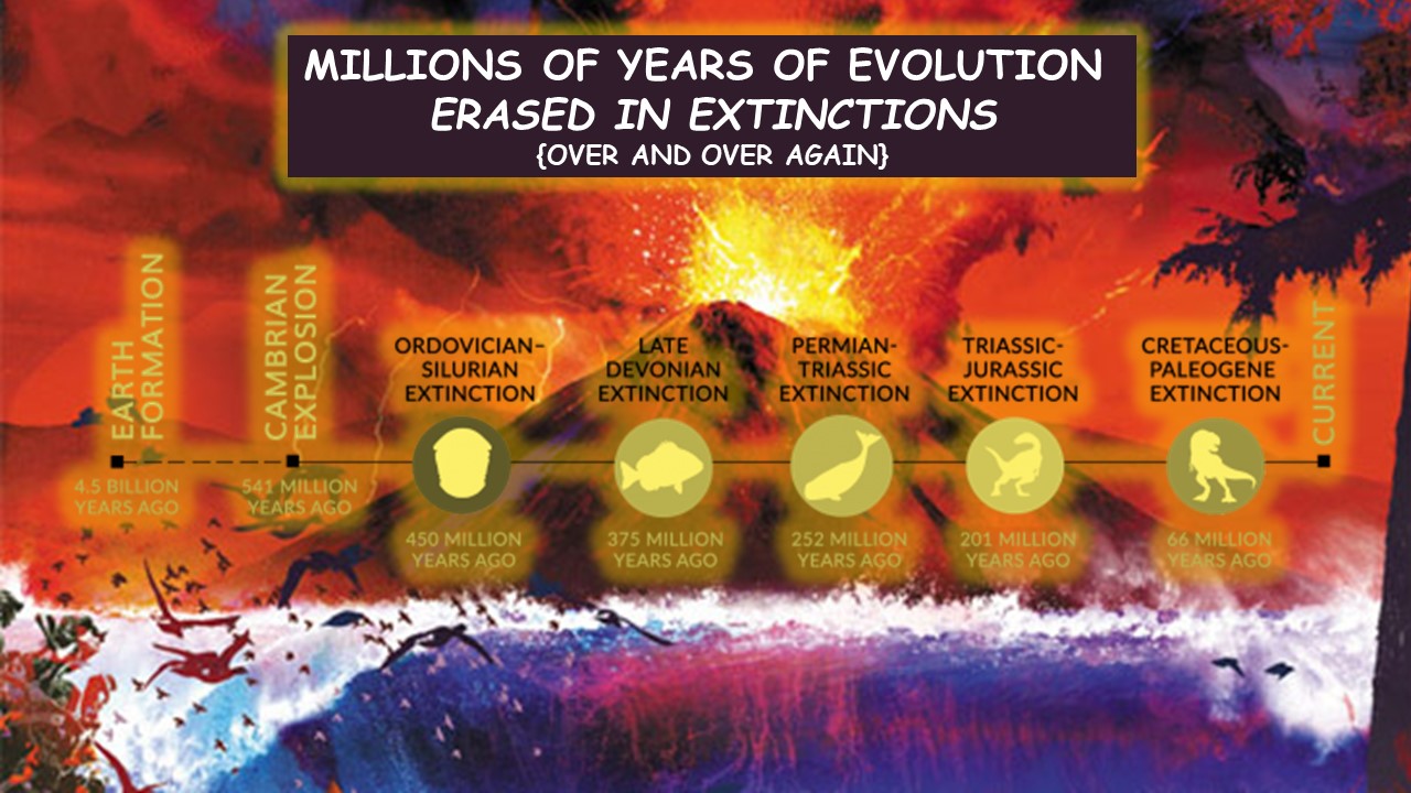 FOSSIL RECORD REVEALS EVOLUTIONARY RESETS BY MASS EXTINCTIONS ...