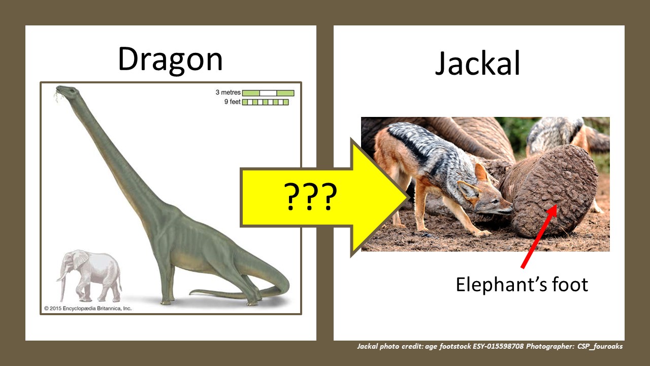 DRAGONS IN THE BIBLE WERE REMOVED – Evolution is a Myth