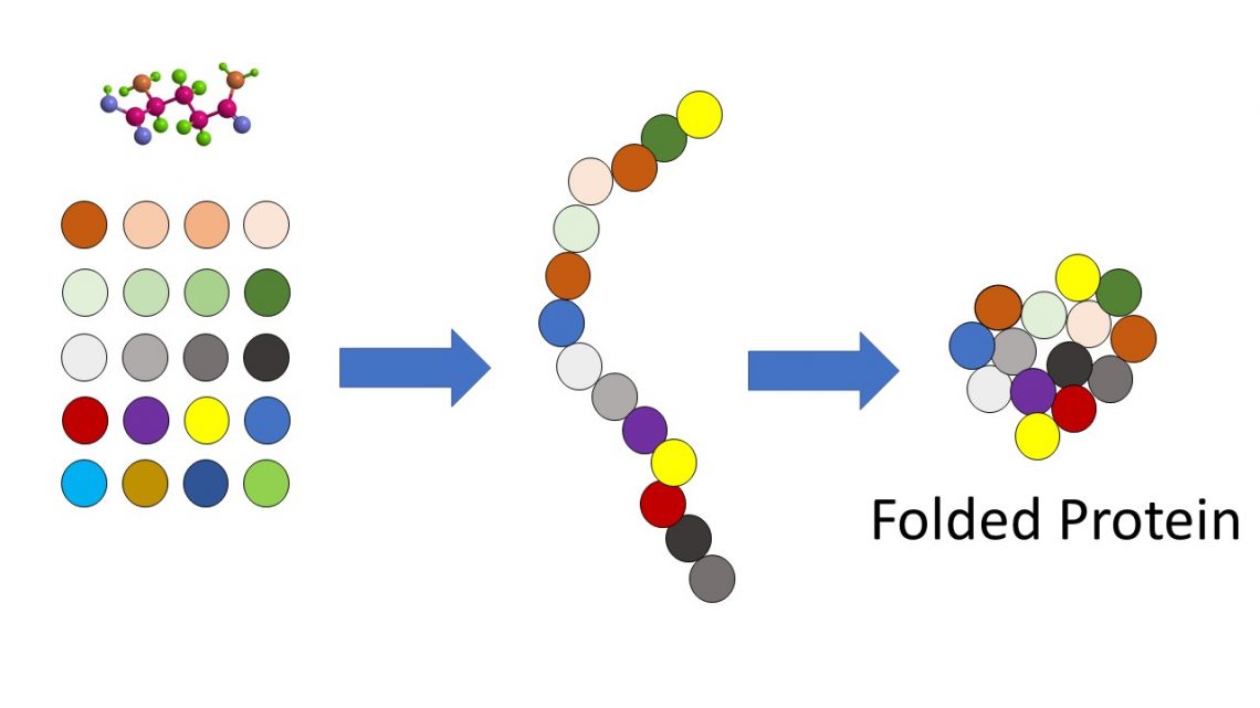 HEREDITY AND MUTATION: INTERCHANGEABLE OR OPPOSITE TERMS? – Evolution ...