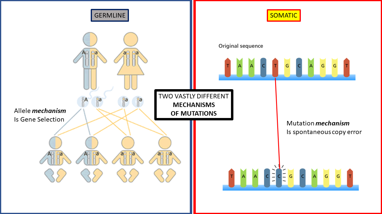 THE THEORY OF EVOLUTION THRIVES ON IMPRECISE AND VAGUE LANGUAGE ...