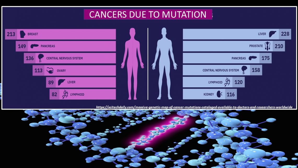 MUTATIONS ARE GENETIC ERRORS; ERRORS ARE DEGRADATIVE (BAD). – Evolution ...