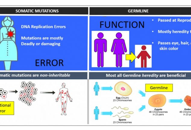 Home – Evolution is a Myth