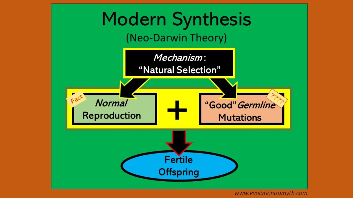 LACTOSE TOLERANCE DEMONSTRATES EVOLUTION BY BENEFICIAL MUTATION. NO, IT ...