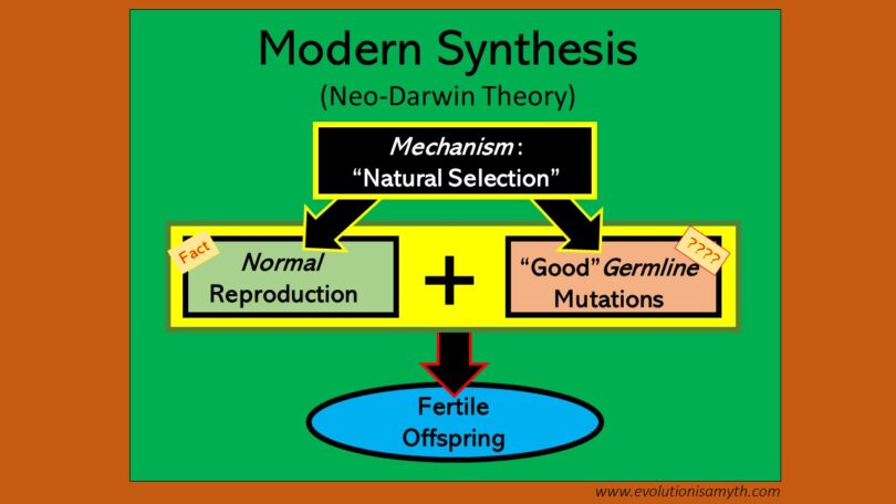 ARE DOGS GOOD EXAMPLES OF EVOLUTION? NO. – Evolution is a Myth