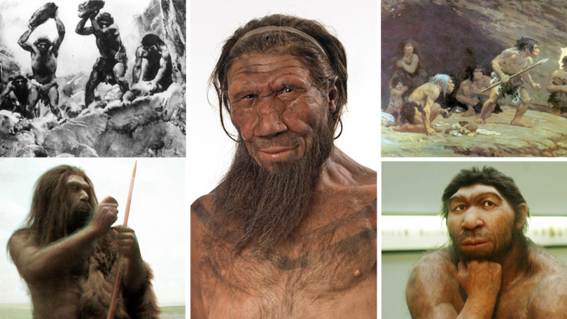 ANATOMICAL SIMILARITIES AMONG FOSSILS FAIL TO DEFEND HUMAN EVOLUTION ...