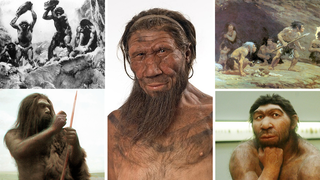ANATOMICAL SIMILARITIES AMONG FOSSILS FAIL TO DEFEND HUMAN EVOLUTION ...