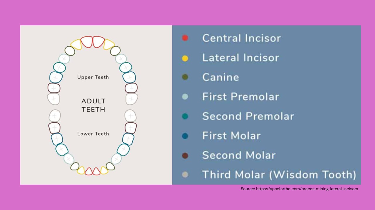 LOSS OF IVORY TUSKS IN ELEPHANTS IS NOT DUE TO BENEFICIAL MUTATIONS BUT ...